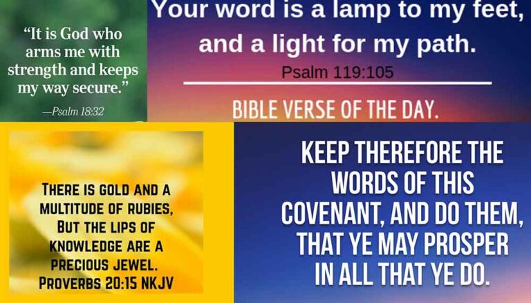 Random Bible Verse of the Day