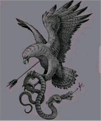 There are 4 Types of Intelligence